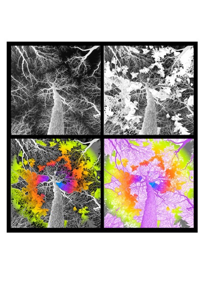 Xavier Prévost - Santé Mentale