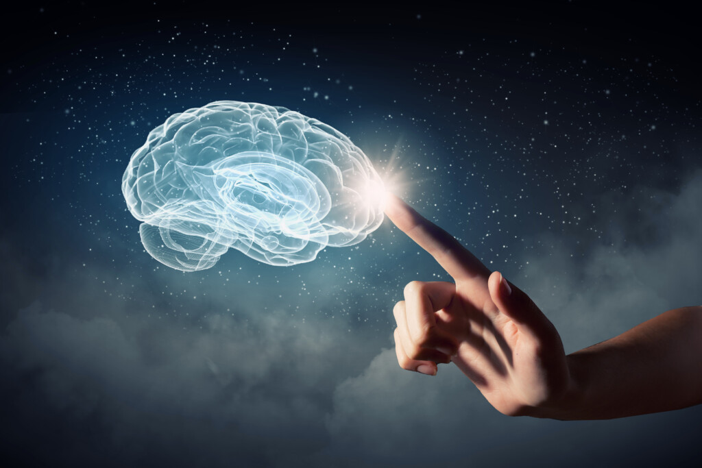 Formation - Santé Mentale