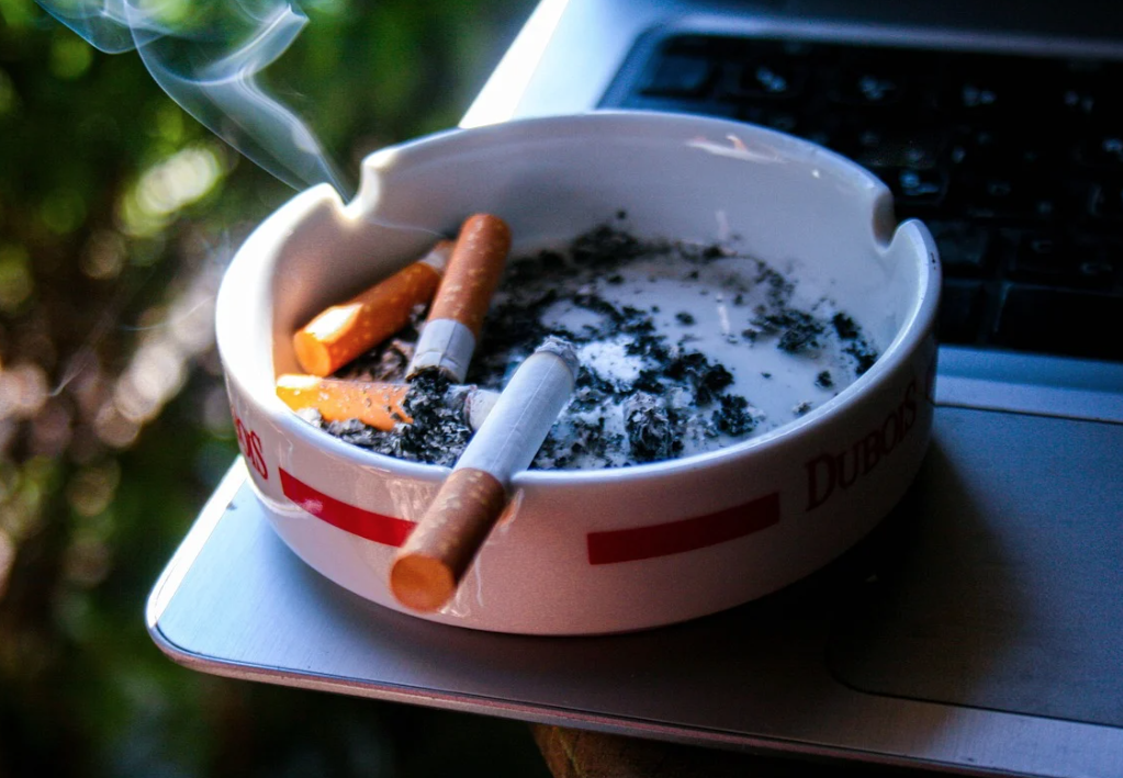 Carrières tabagiques et expériences d'arrêt du tabac - Santé Mentale